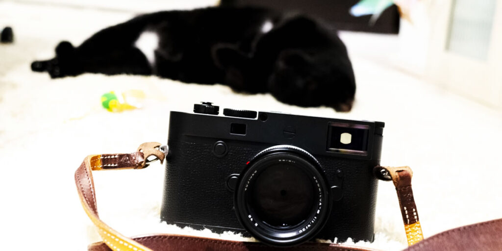 ライカは凄いカメラを作ってしまいました（今さら感（ ;^_^A「Leica M10M使おうキャンペーン」好評開催中 | LEICA ...